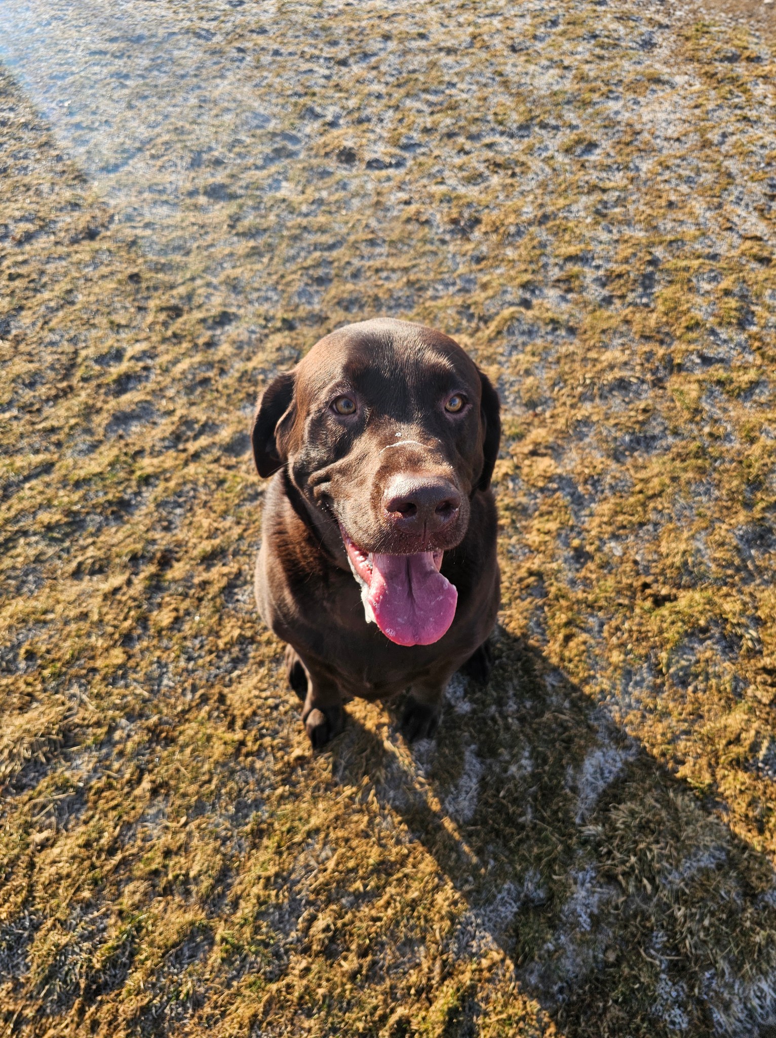 The First Week of My Angling Season – Mad Angler Hub